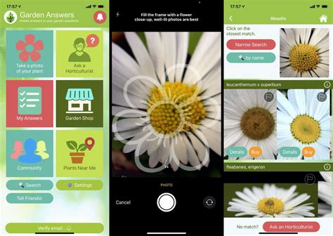 Flower Recogniser App Best Flower Site