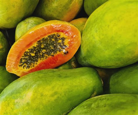 How To Grow Papaya Expert Tips To Grow The Tropical Fruits Homes And Gardens