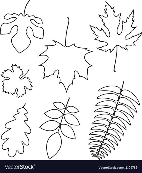 Leaf Outline Royalty Free Vector Image Vectorstock
