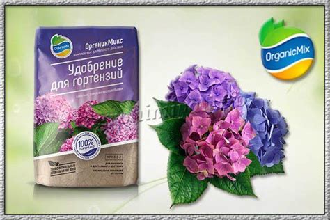 Органик Микс: описание, отзывы, разновидности, для рассады