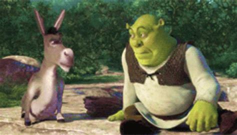 Shrek Donkey  Shrek Donkey Discover And Share S