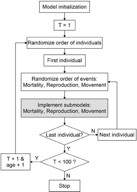 Flow Diagram Of The Main Routine Used In The Simulation Model