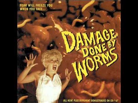 Damage Done By Worms Deep In The Night Youtube Music
