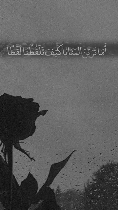 يانفس توبي Youtube