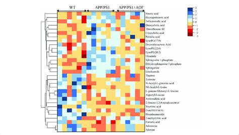 Heat Map Of Differential Metabolites In The Plasma Download