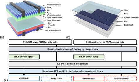 Topcon Solar Cell