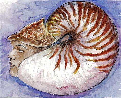 The Spiral Spirit By Mastertypo On Deviantart