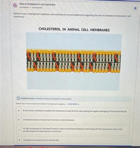 Solved Role Of Cholesterol In Cell Membrane Homework
