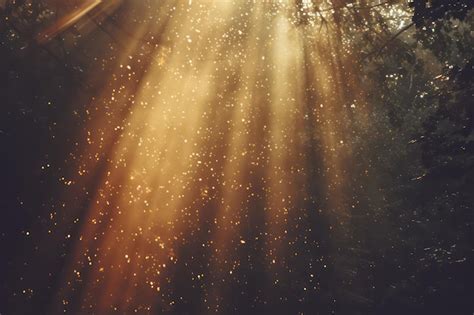 Premium Photo Calm Reflection Of The Sunset In A Peaceful Forest