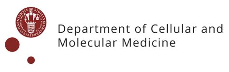 Phd Position On Primordial Germ Cell Heterogeneity University Of Copenhagen The Node