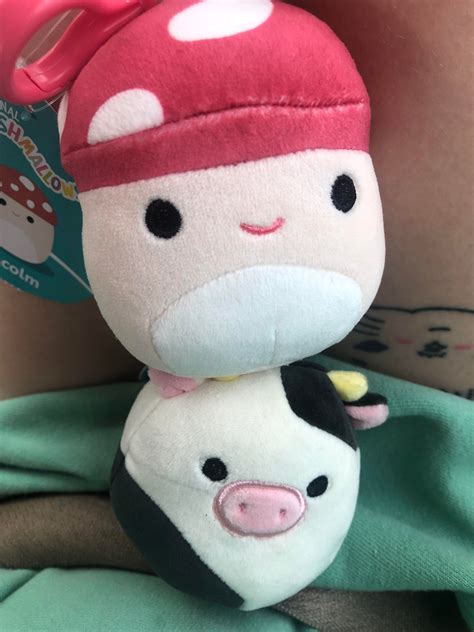 Found The Summer Clips Early R Squishmallow