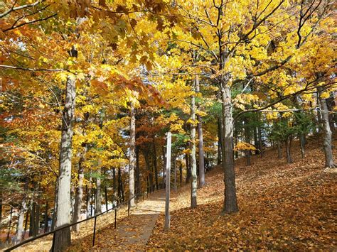 The Walk To Class Oc Rnatureporn