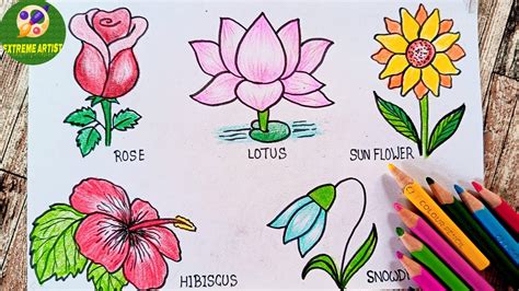 Different Types Of Flowers Drawings Different Types Of Flowers Drawing