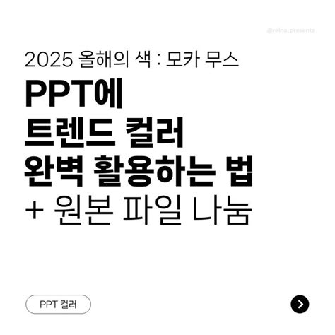 🎁 2025 올해의 팬톤 컬러로 Ppt 디자인이 달라진다 모카 무스 실전 활용법 12년차 Ppt 디자이너가 알려주는 트렌드 컬러 활용 꿀팁과 실무에서 바로 쓰는 원본