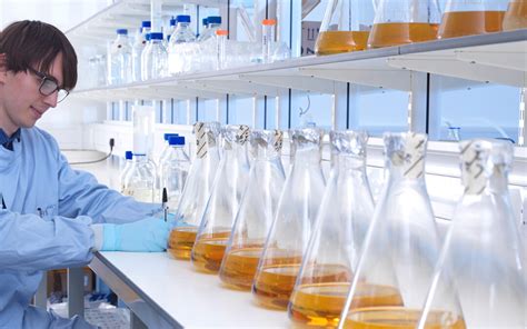 Bacterial Antigens Antibodies And Custom Solutions For Your Research