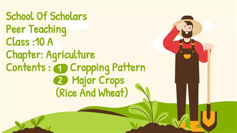 Agriculture X A Cropping Pattern And Major Crops Rice And Wheat Pptx