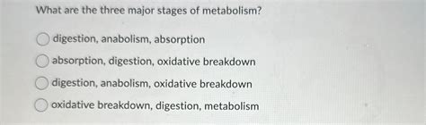 Solved What are the three major stages of | Chegg.com