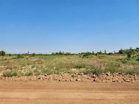 L305 ขายที่ดินสวยบรรยากาศดี เนื้อที่ 15 ไร่ ศรีมหาโพธิ ปราจีนบุรี ที่ดินร้อยแปด คอม