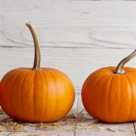 30 Orange Foods Fruits Vegetables And More Insanely Good