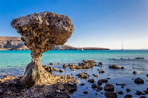 Best Beaches In La Paz Mexico Celebrity Cruises