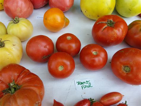 무료 이미지 자연 식품 야채 현지 음식 생기게 하다 과일 매실 토마토 감자와 토마토 속 부시 토마토 채식주의 자 음식 밤 가족 다이어트 식품 전체