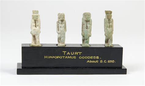 Egypt Taurt