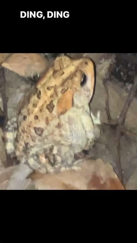 Dejan Aritz • Instagram Photos And Videos