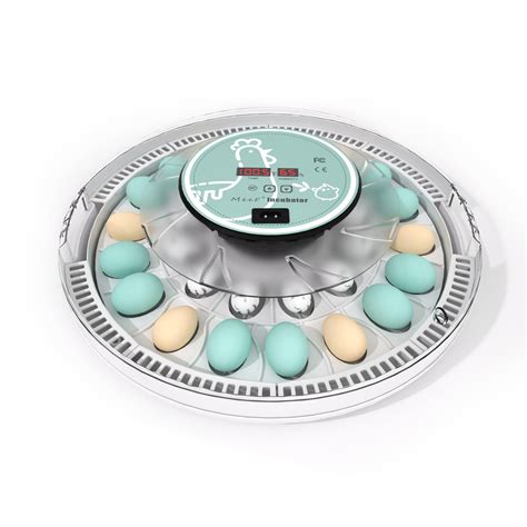 7 Best Egg Incubators For Successful Hatching Raise Chickens Right