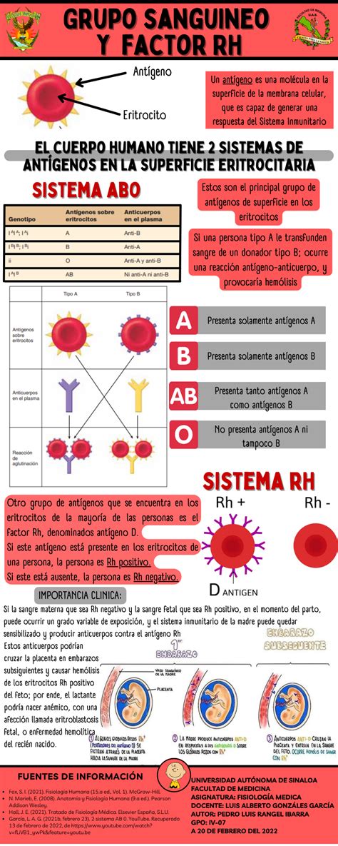 InfografÍa 7 Grupo SanguÍneo Y Factor Rh Evidencia De Tipo Individual