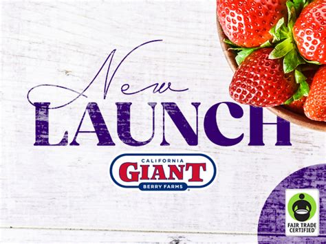 California Giant Berry Farms Now Offering Fair Trade Usa™ Strawberries Joe Barsi And Paul Rice