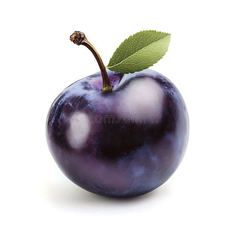 Sweet And Tangy Dried Prune Isolated On White Background Stock Image