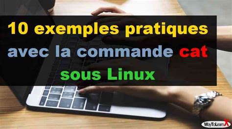 10 Exemples Pratiques Avec La Commande Cat Sous Linux Waytolearnx