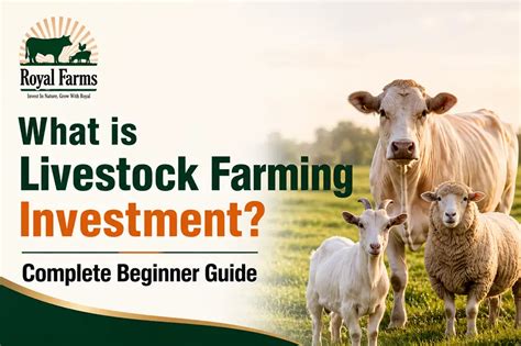Livestock Farming Investment Guide For Beginners