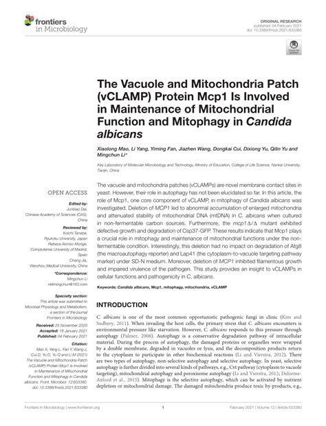 Pdf The Vacuole And Mitochondria Patch Vclamp Protein Mcp1 Is