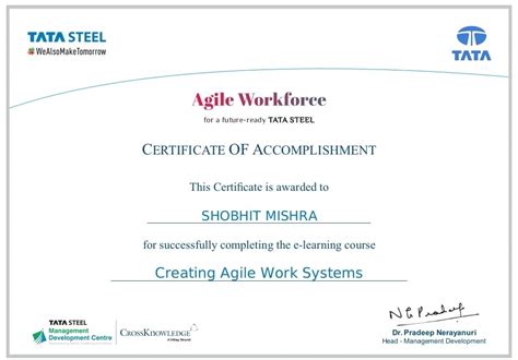 Shobhit Mishra On Linkedin Agilework Professionaldevelopment