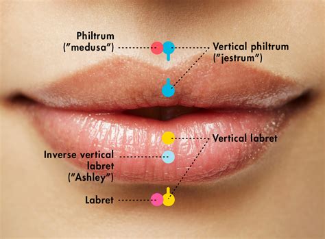 Lip Piercing Chart