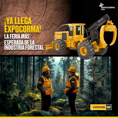 Finning Maria Pamela Baez Rivera