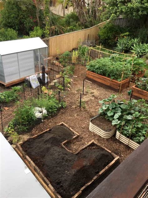 Permaculture Patch Creation Services In Sydney