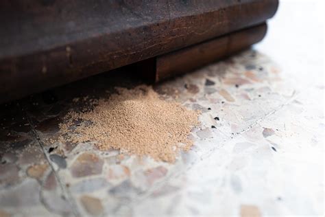 What Do Termite Droppings Look Like And Are They A Sign Of An