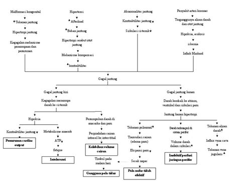 Pathway Chf Pdf