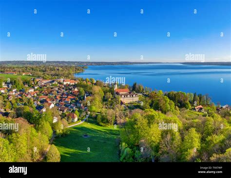 Look At Bern Reeds In The Starnberger Lake Pfaffenwinkel Bavaria
