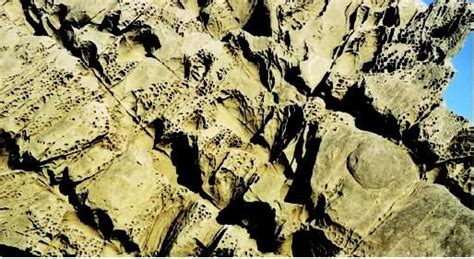 This Photograph Shows Differential Weathering Of A Fractured Rock Surface Water Has