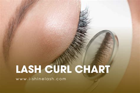 Lash Curl Chart A Comprehensive Guide
