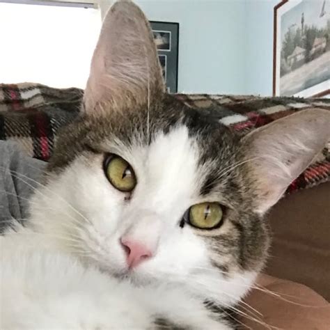 Ethan Tripawdethan • Threads Say More Ethan Tripawdethan • Threads Say More