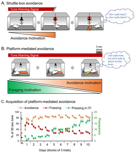 The study of active avoidance: A platform for discussion - PMC
