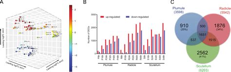 Video Laser Capture Microdissection Rna Sequencing For Spatial And Temporal Tissue Specific