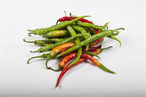 chilli labeled image dataset images cv