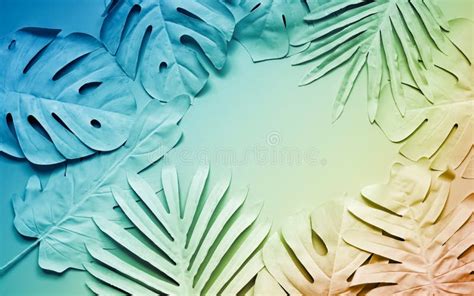 Collection Of Pastel Tropical Leavesfoliage Plant With Space