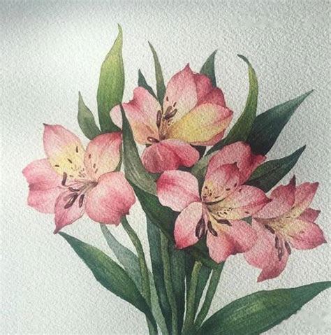 花朵系的水彩画 花朵系的水彩画图片大全 博物迷