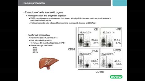 Optimize Your Flow Cytometry Best Practices For Sample Preparation